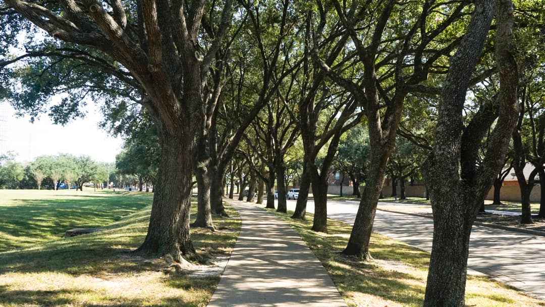 Harris County MUD 222 - News